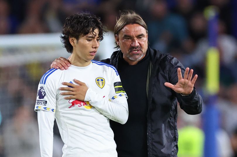 Daniel Farke ready to reveal Leeds United's plan B in tactics litmus ...