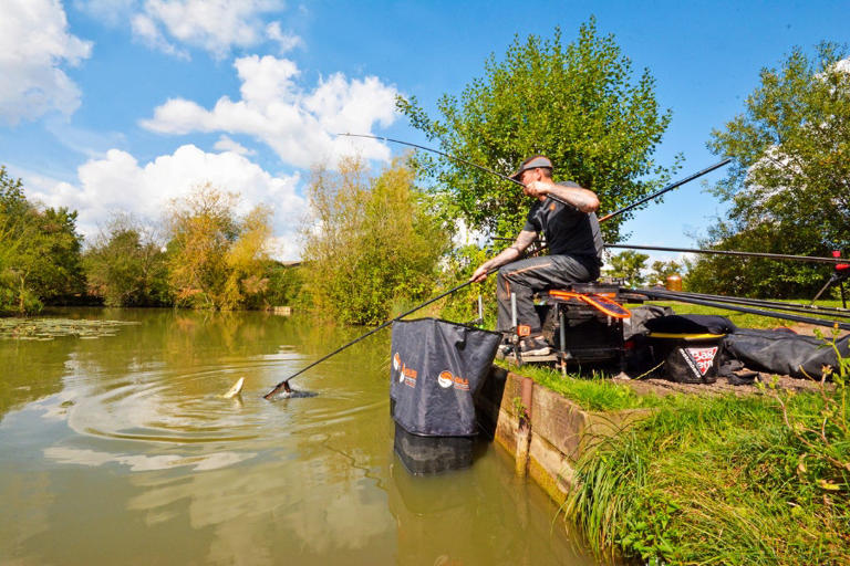Fishing near me | Venues where you could hook anything