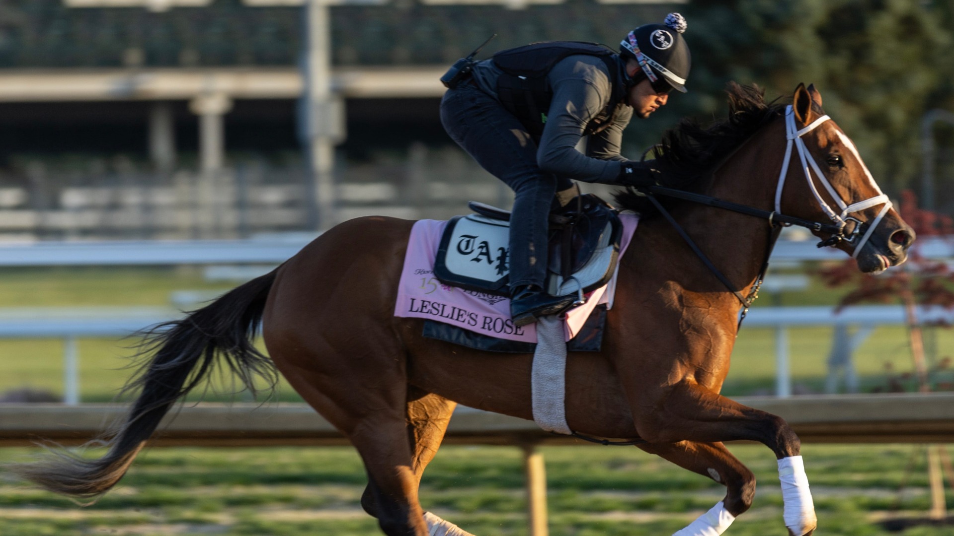 Personal Ensign Stakes preview: Analyzing Leslie’s Rose