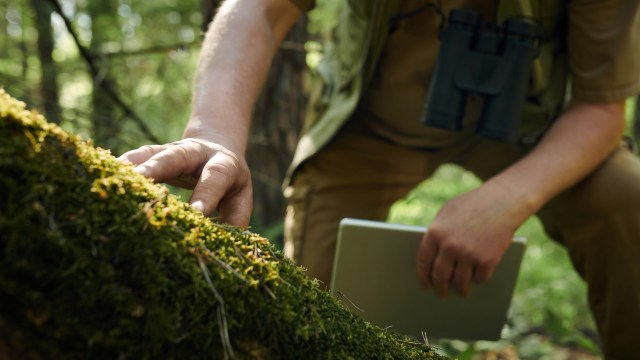 Researchers develop next-gen tech that can observe wild animals from ...