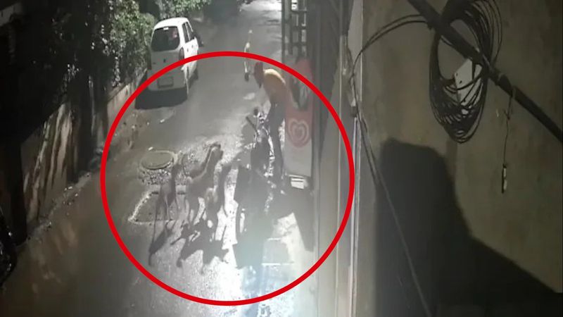 Man fights off pack of stray dogs in Maharashtra; CCTV captures ...
