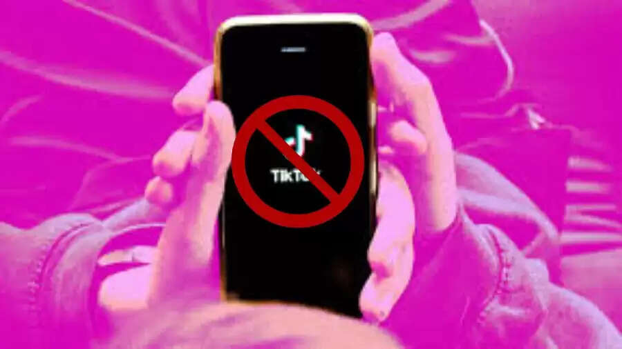 TikTok Ban in India: Government Clarifies No Order Issued to Unblock App