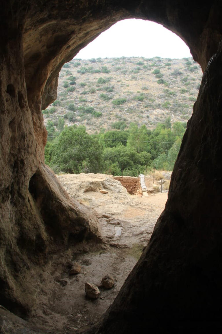 Earliest evidence discovered of interbreeding between Homo sapiens and ...