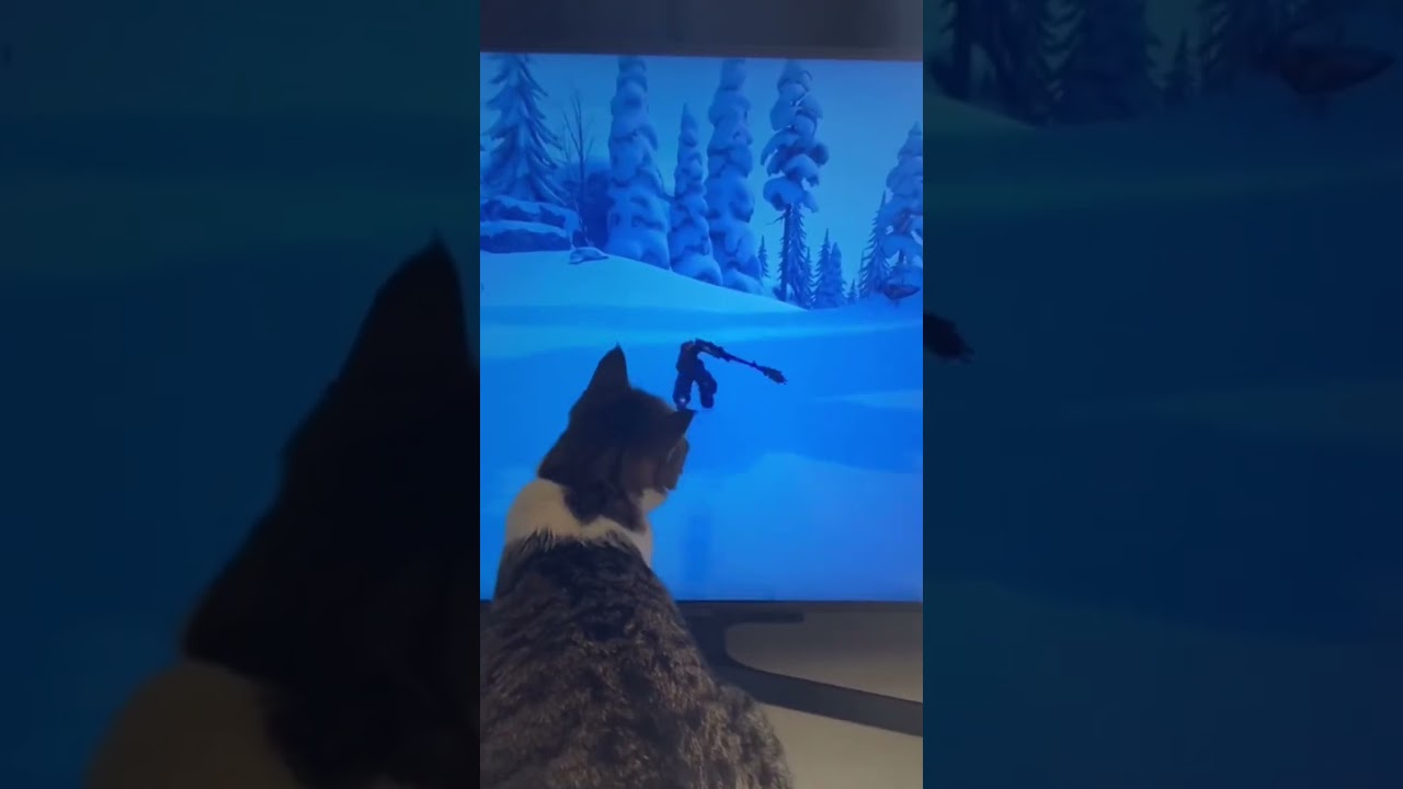 Sora Faces His Cutest New Threat Yet—A Cat