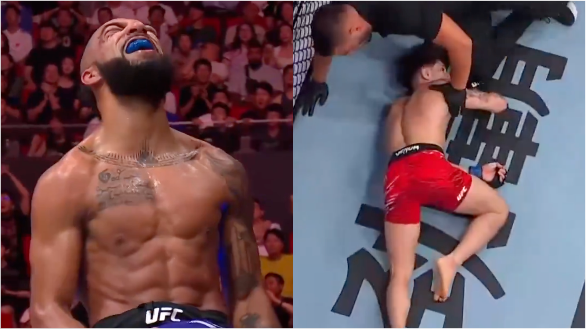 UFC Fight Night 257 video: Charles Johnson KOs Lone'er Kavanagh in ...