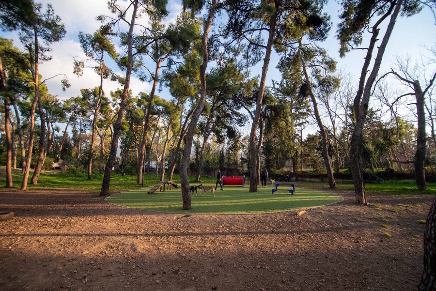 Άνοιξε για το κοινό το Άλσος Χωροφυλακής