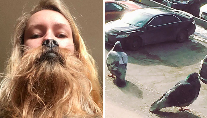 50 Accidental Optical Illusions People Captured On Their Cameras