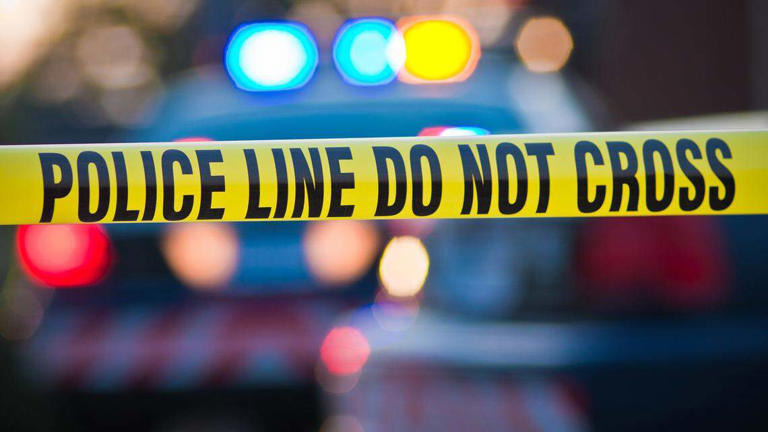 Police investigating after a stabbing under a bridge in Cayce ...