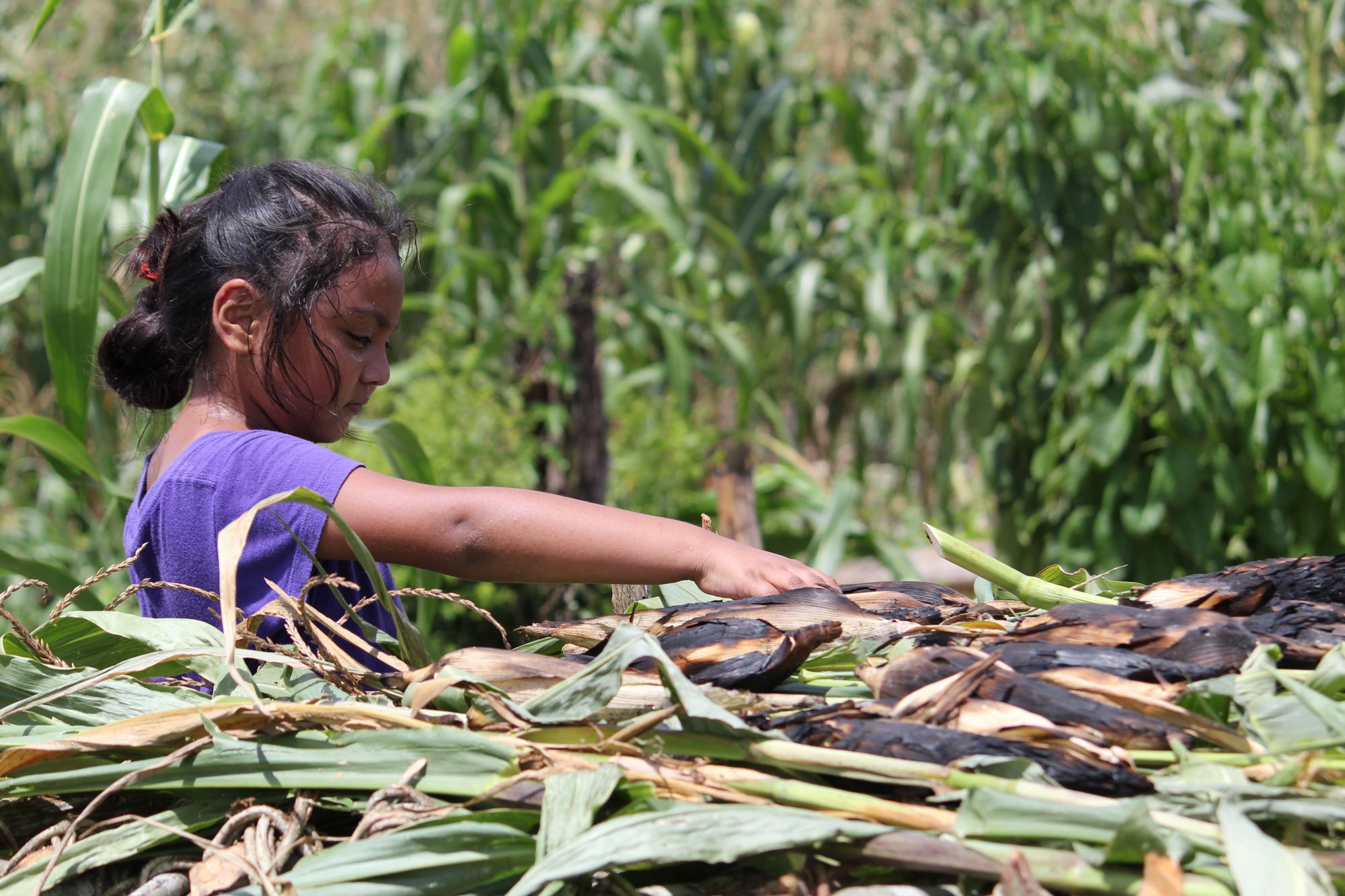 Mayan Art, Mayan Land