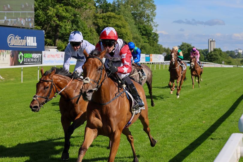 Claim a free pair of horse racing tickets with Scottish Racing