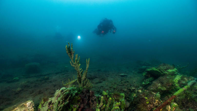 Scientists find sunken continent in Pacific