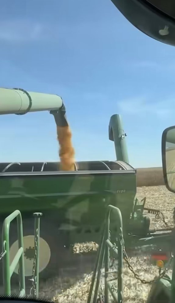 Someone CRASHED Into My Corn Field!