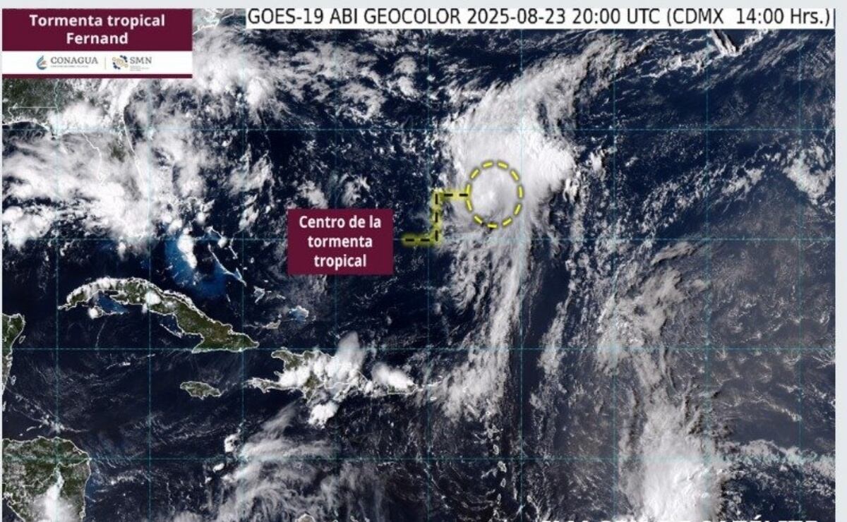 Se forma tormenta tropical "Fernand" en el Atlántico central; prevén ...