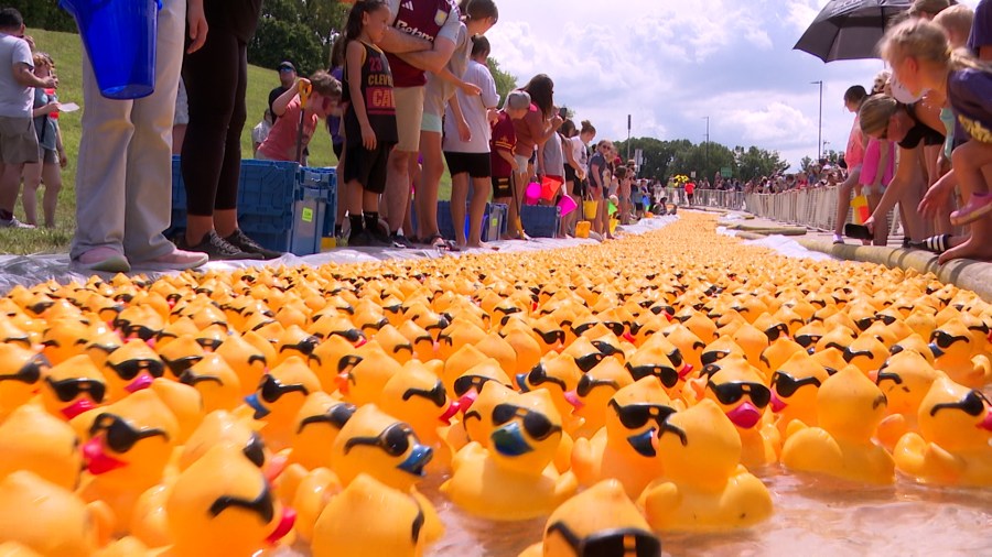 Duck Race 2025 sells out and raises funds for survivors of abuse