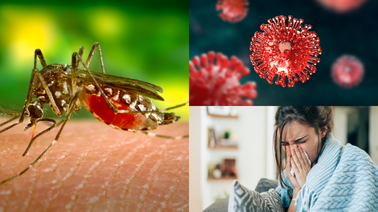 Viral Season Is Back: Spot the Difference Between Dengue, Covid, Flu ...