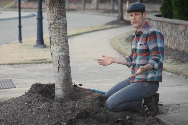 Landscaper warns against harmful trend sweeping across industry: 'I don ...