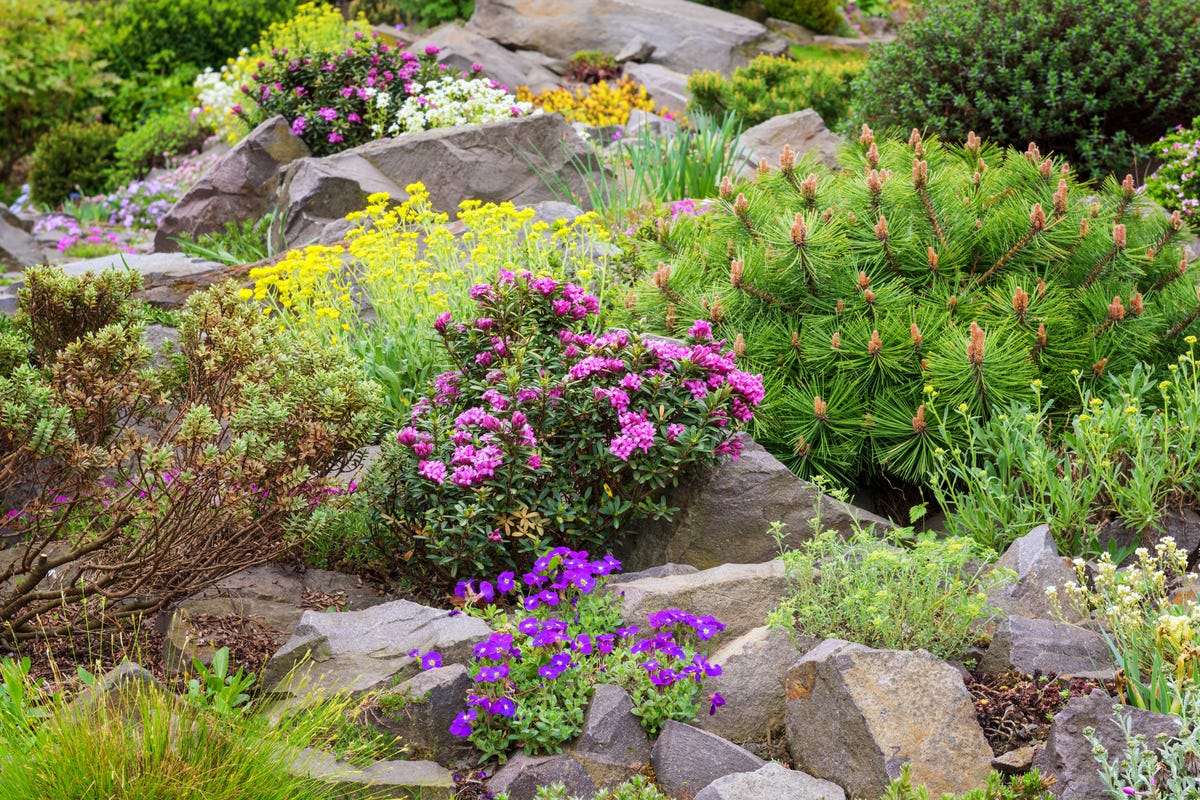 14 smart rock landscaping ideas to transform your garden