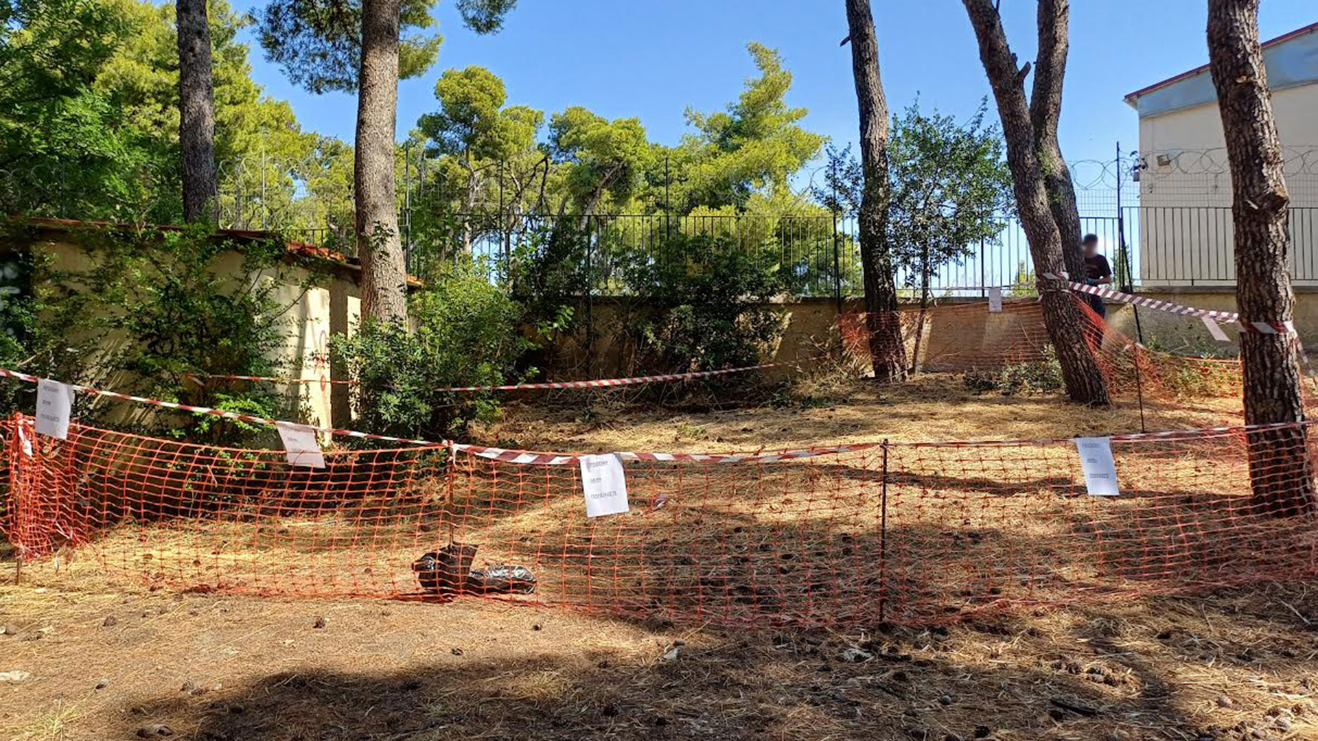 Αλσος Χωροφυλακής: Εντοπίστηκαν και άλλα οστά ζώων συντροφιάς – Αυτοψία ...