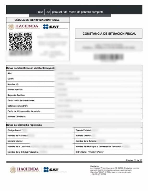 ¿Cómo descargar la Constancia de Situación Fiscal sin e.firma?; aquí te decimos el proceso para ...