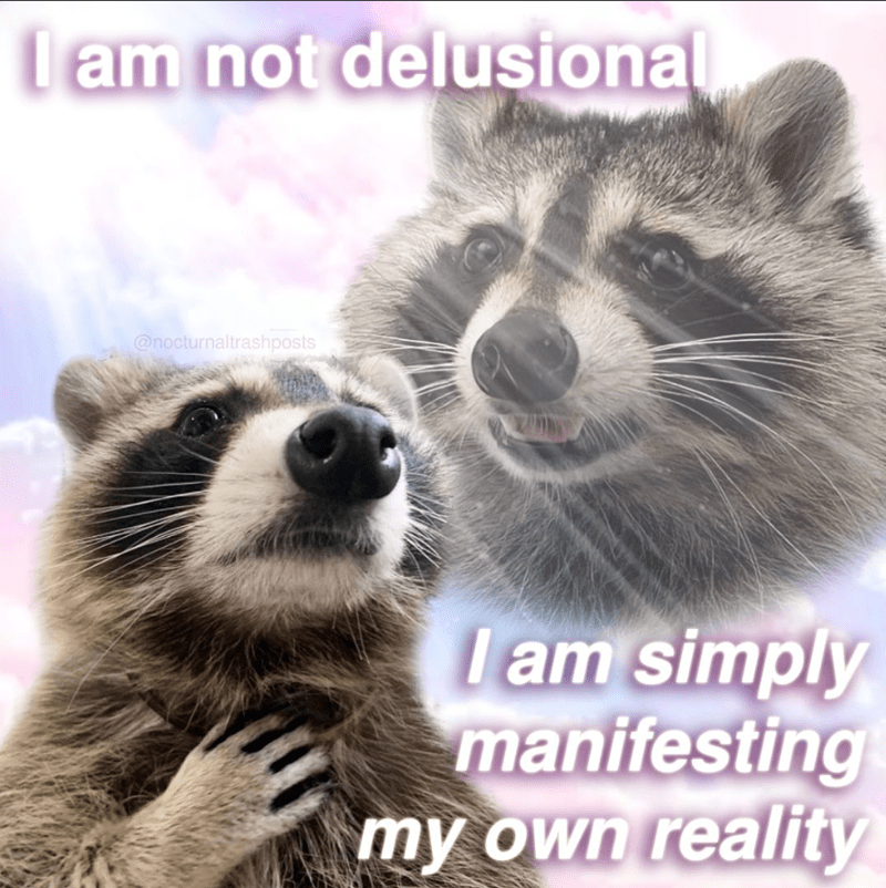 25 Spicy Memes of Rambunctious Raccoons Serving Silly Saturday Vibes