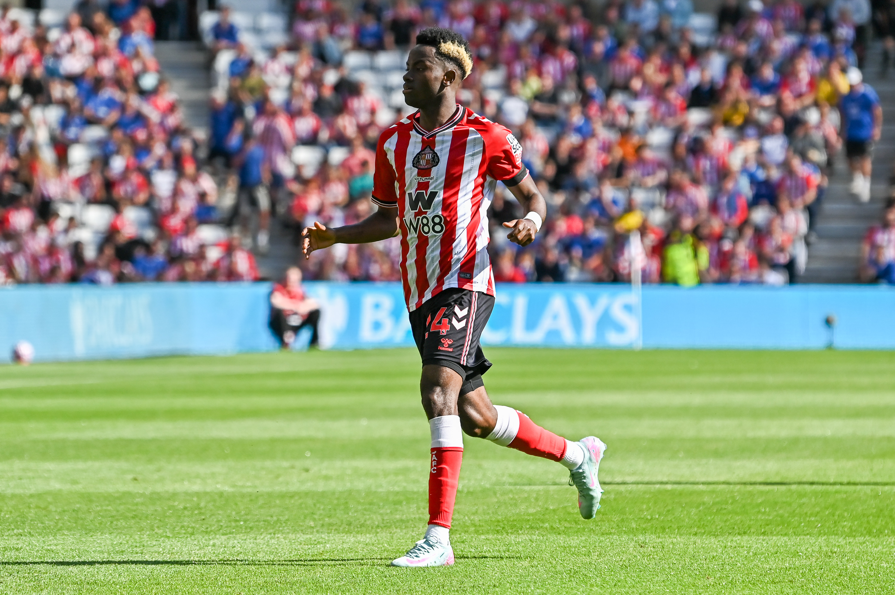 Djibril Cissé makes Sunderland survival prediction and reveals the ...