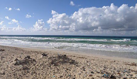 Five children who drowned during school trip named