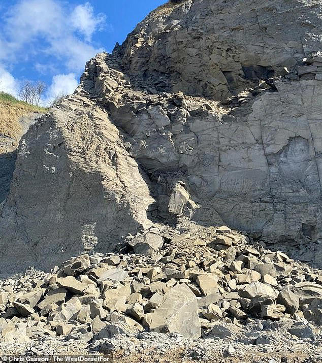 Moment massive rockfall sends '5,000 tonnes of earth' tumbling off cliff onto British beach
