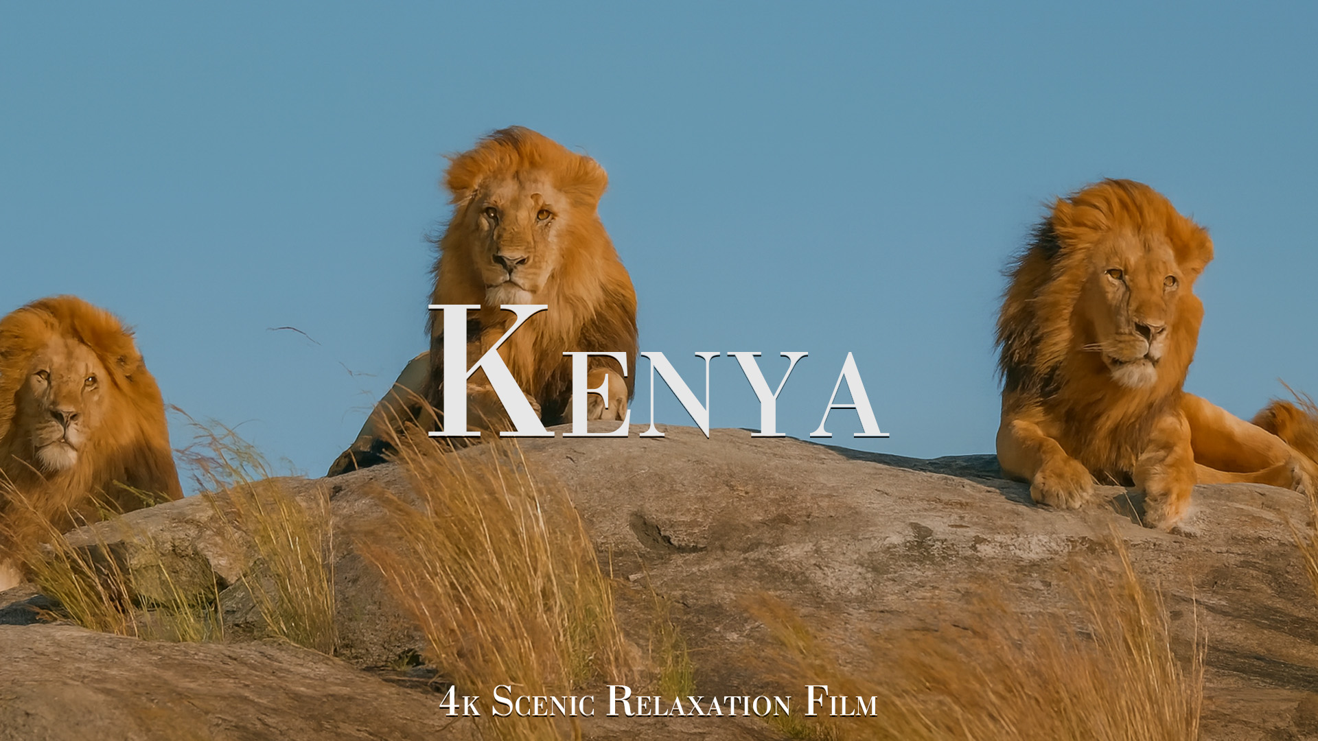 Letting the Land Tell Its Story – Masai Mara National Reserve and ...