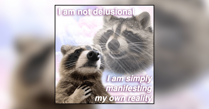 25 Spicy Memes of Rambunctious Raccoons Serving Silly Saturday Vibes
