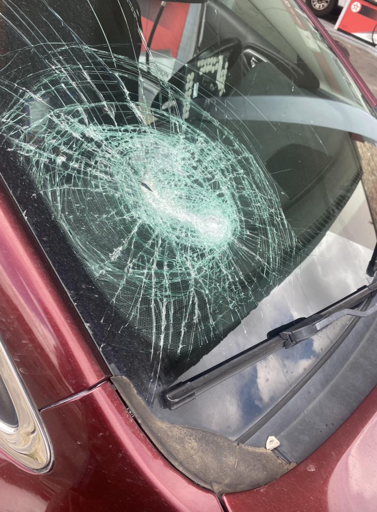 21 People Who Have, Simply Put, Been Going Through It Lately