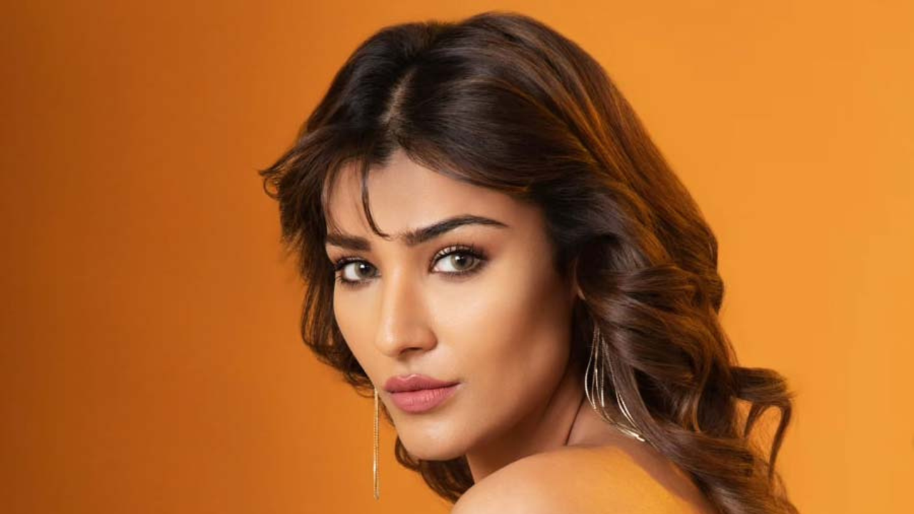 Bigg Boss 19: From Mumbai’s beauty queen to representing India on the ...