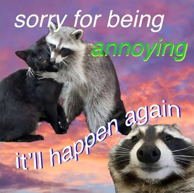 25 Spicy Memes of Rambunctious Raccoons Serving Silly Saturday Vibes