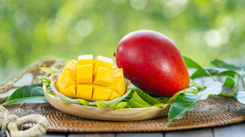 Miyazaki Mangoes Might Be Some Of The Most Expensive Fruit In The World