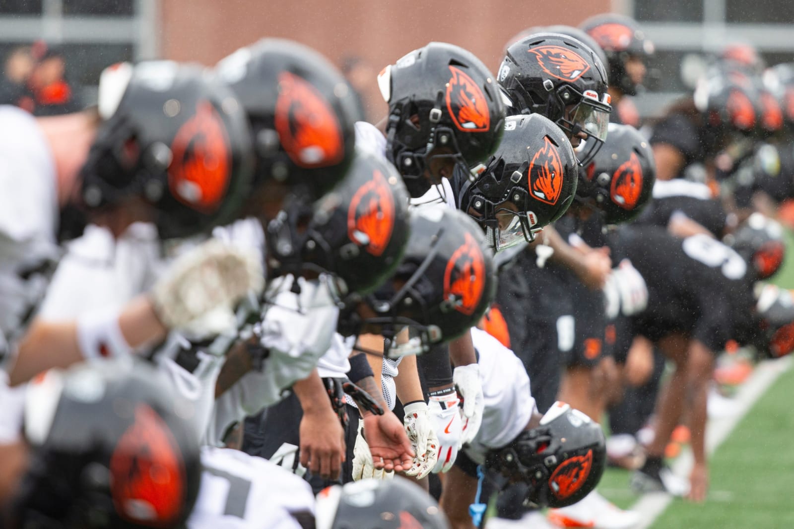 Oregon State Football Season Staff Predictions