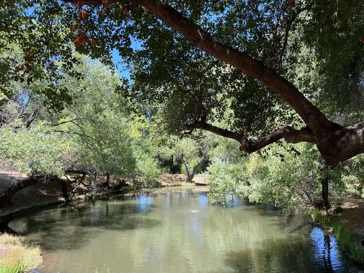 Over 1,000 acres of ancestral land returned to Southern California tribe