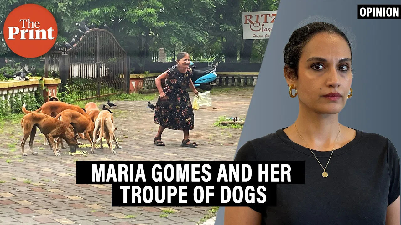 Maria Gomes feeds over 300 stray dogs. She challenges the popular image ...