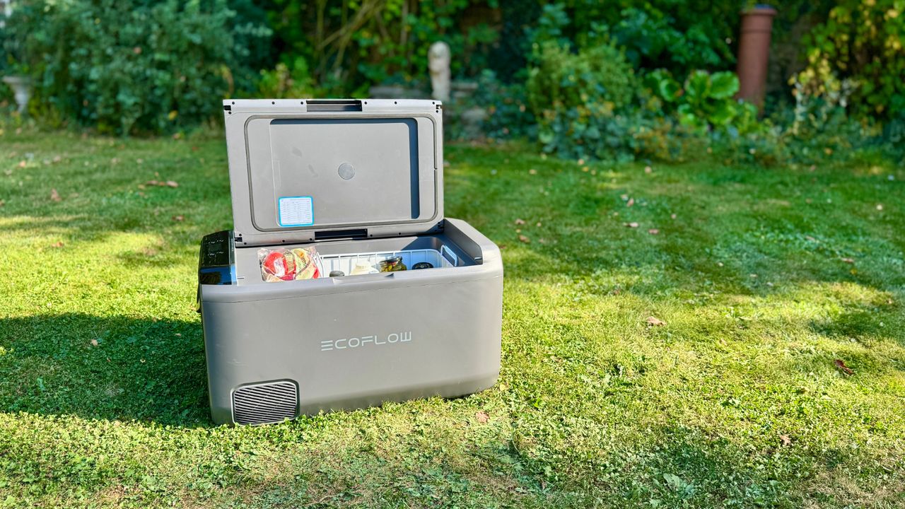 Forget ice – EcoFlow's battery-powered fridge kept burgers and beers ...