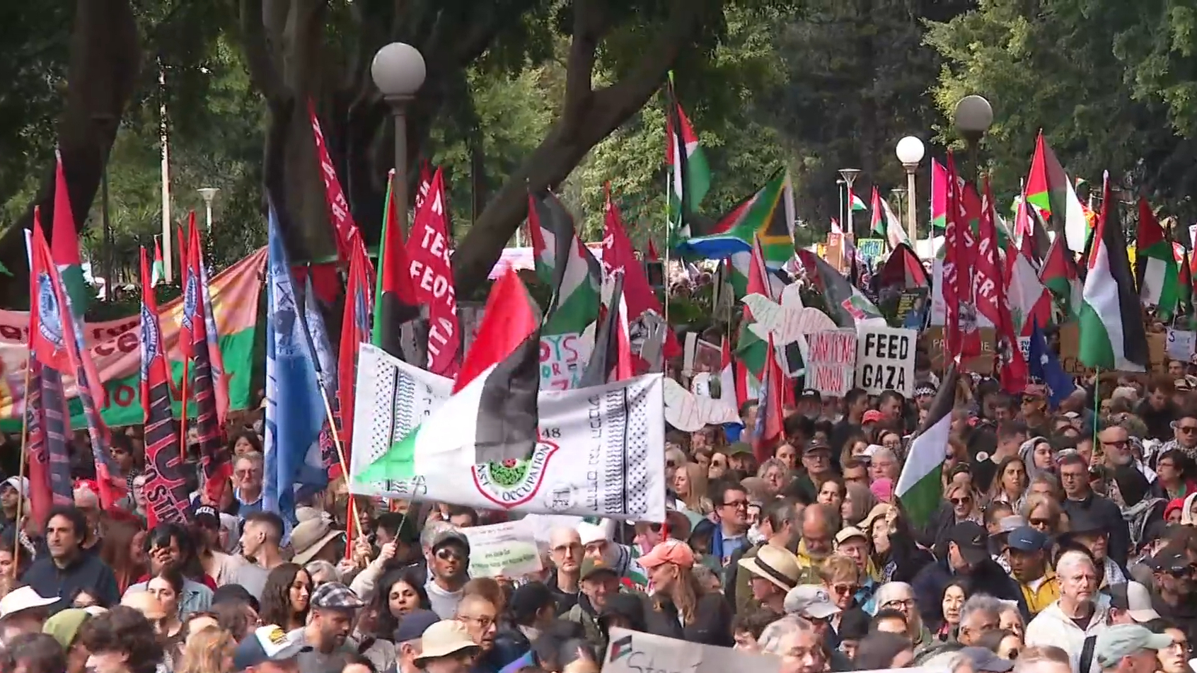 Pro-Palestine protests across Australia attract staggering turnout