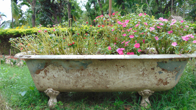 11 Unexpected Bathroom Items You Could Be Repurposing In Your Garden