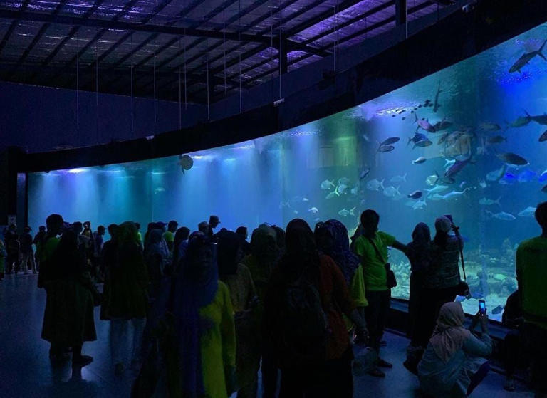Aquarium Pangandaran buka jam berapa? Ini jadwal terbaru yang harus ...