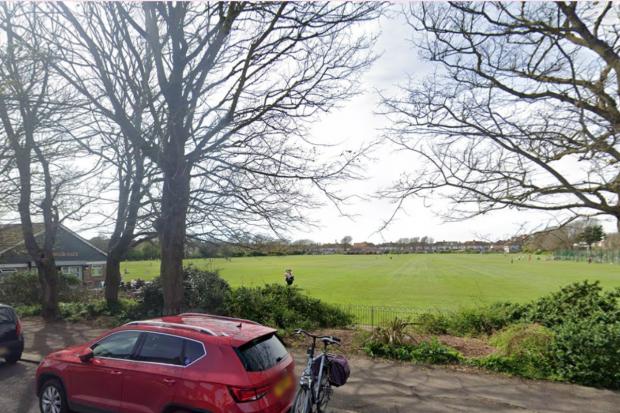 New bee and butterfly bank to boost biodiversity in park