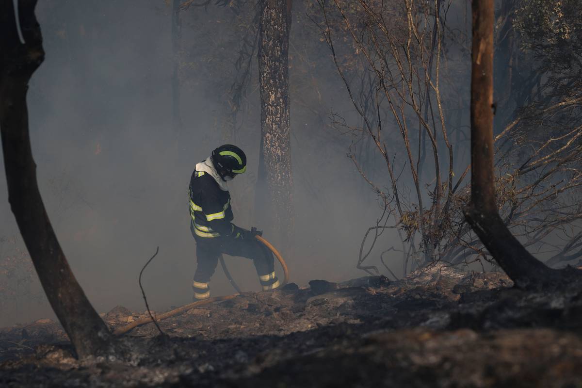 Proteção Civil quer reorganizar comandos de combate a incêndios e ...