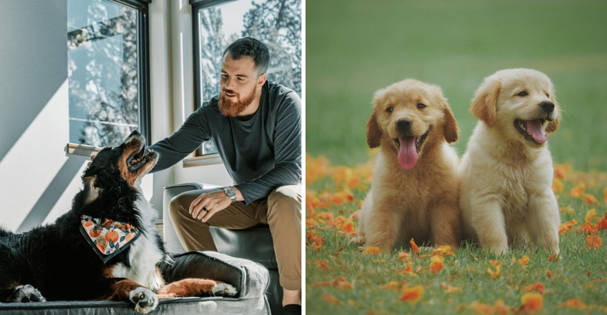 14 Huggable Dog Breeds That Enjoy Snuggling