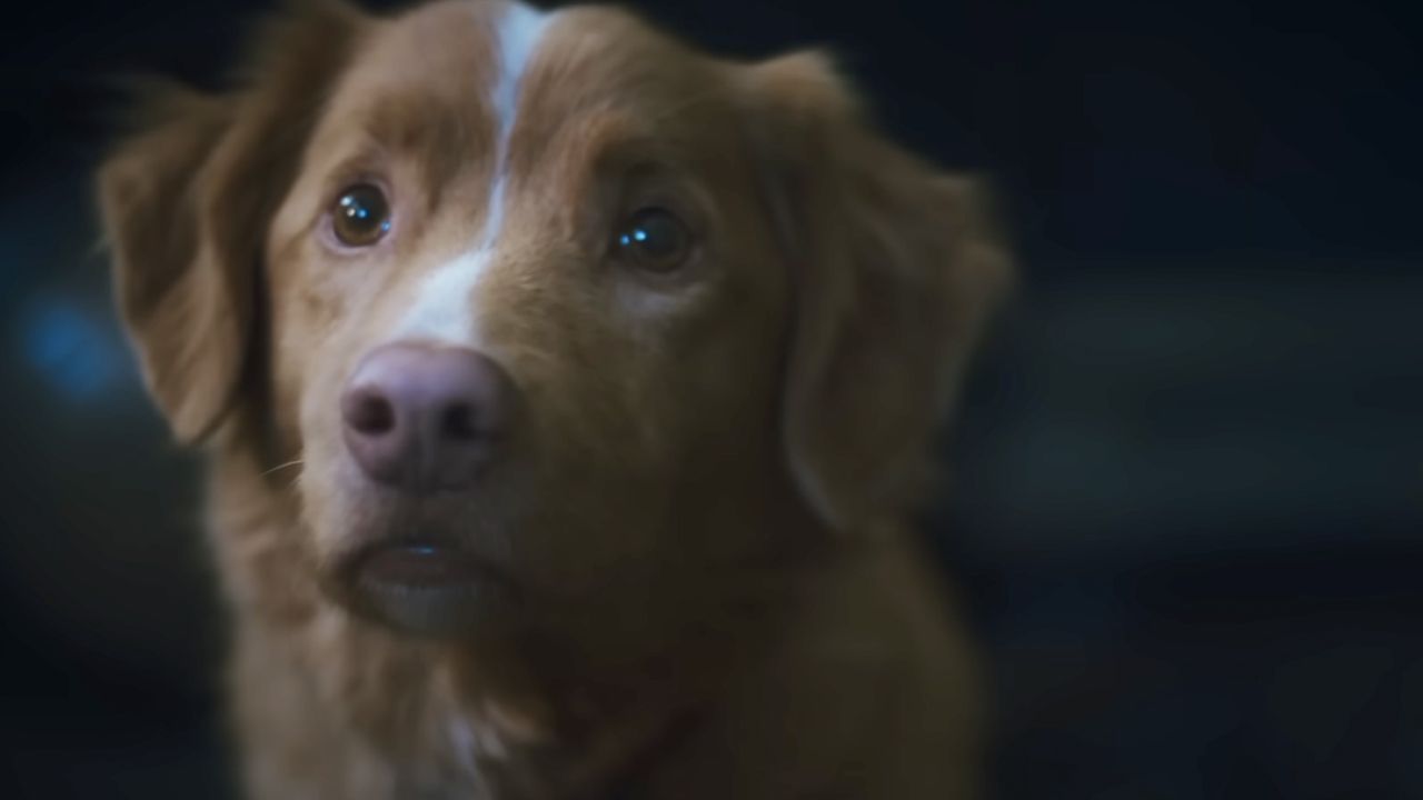 That New, Viral Horror Movie That Has Us All Worried About Whether The ...