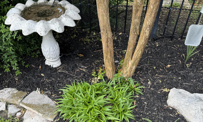 Homeowner narrowly misses 5-foot rattlesnake hiding in plain sight ...