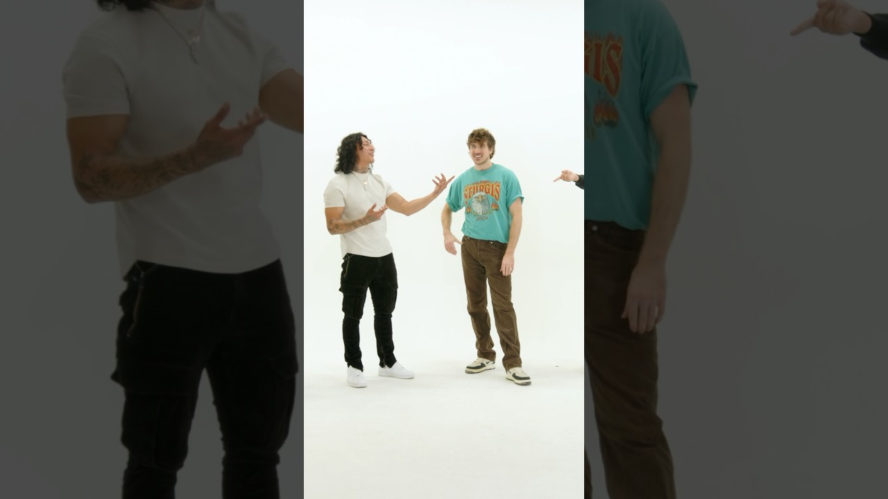 Over eighty dogs rescued from hoarding