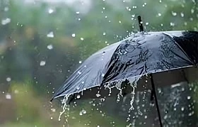 Six killed, two missing as rain continues to batter parts of Rajasthan