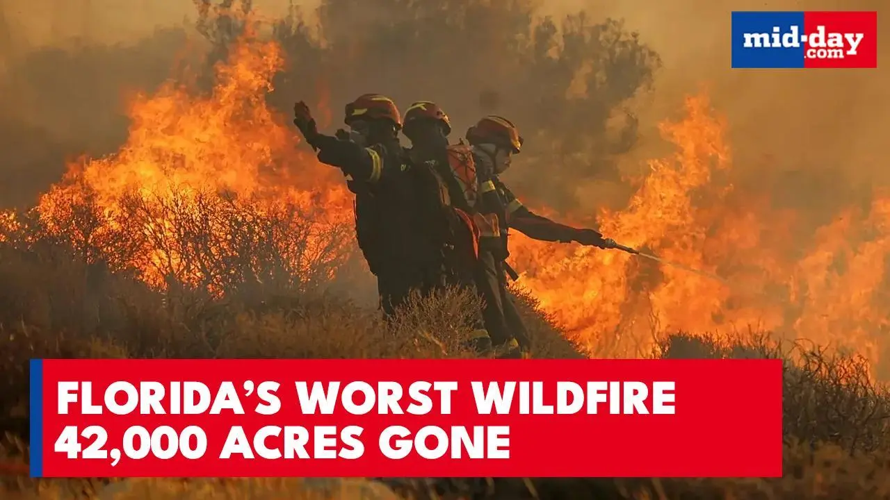 Florida: Everglades Blaze Rages over 42,000 Acres, Becoming 2025’s ...