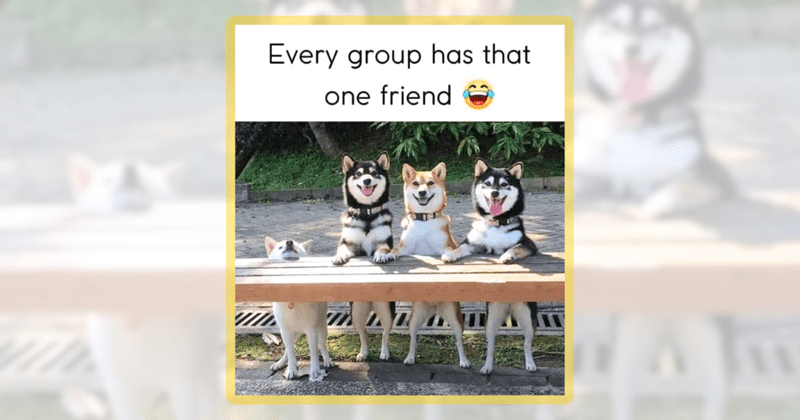 25 Hounds of Humor for Pawrents With Chaotic Canine Kids