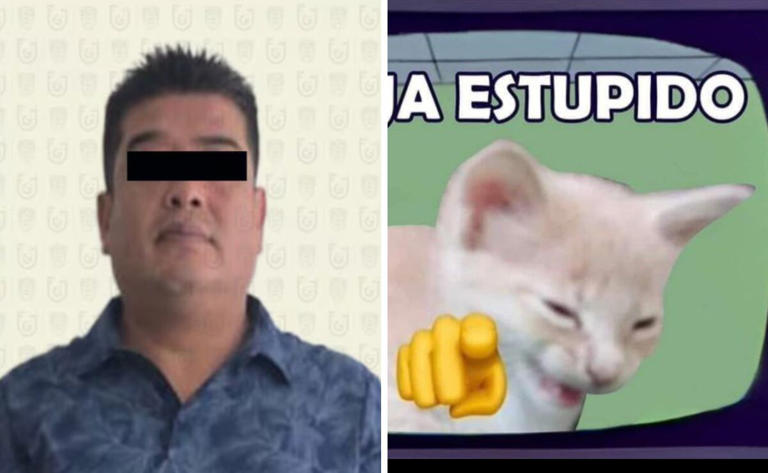 Detienen al líder de ‘Los Estúpidos’; internautas desatan ola de memes ...
